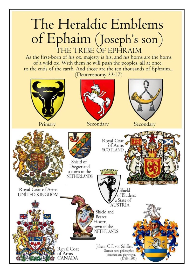 Flags of the Scattered Tribes of Israel - Dispersion, Heraldry ...